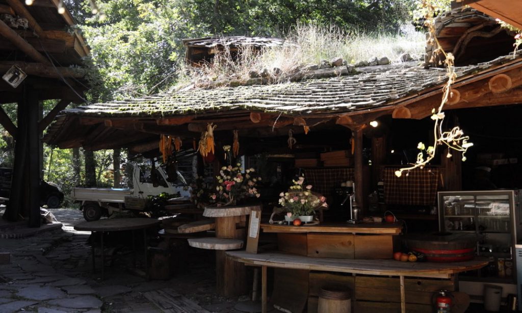 From Farm to Table – Canadian Farm